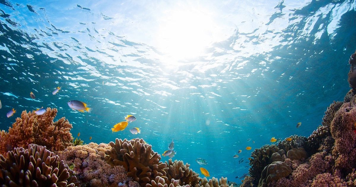ESG360 – Blue Bonds: Unlocking the Ocean’s Potential | Nomura Connects